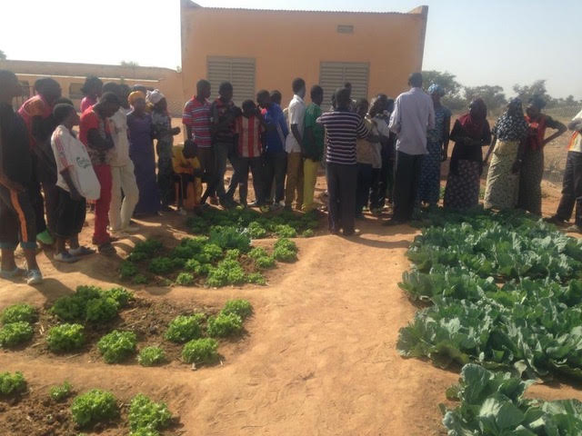 Students thankful for opportunities that have grown from school garden ...